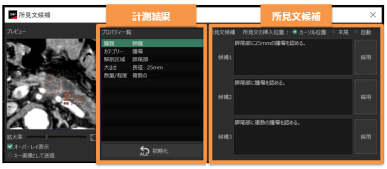 AIプラットフォーム「SYNAPSE SAI viewer Ver2.4」提供開始 | 映像情報Medical